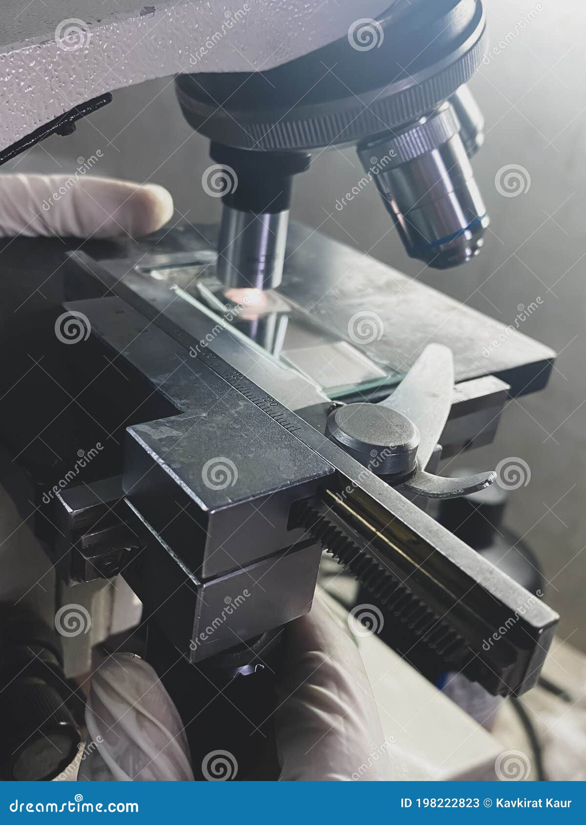 Testing a Sample Under the Microscope in a Laboratory Stock Image ...