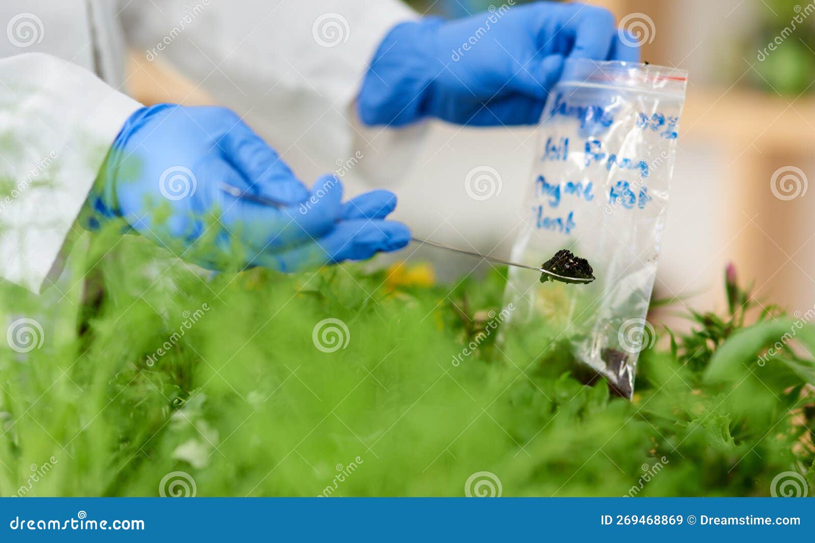Testing Soil for Crop Production. Closeup Shot of an Unrecognisable ...