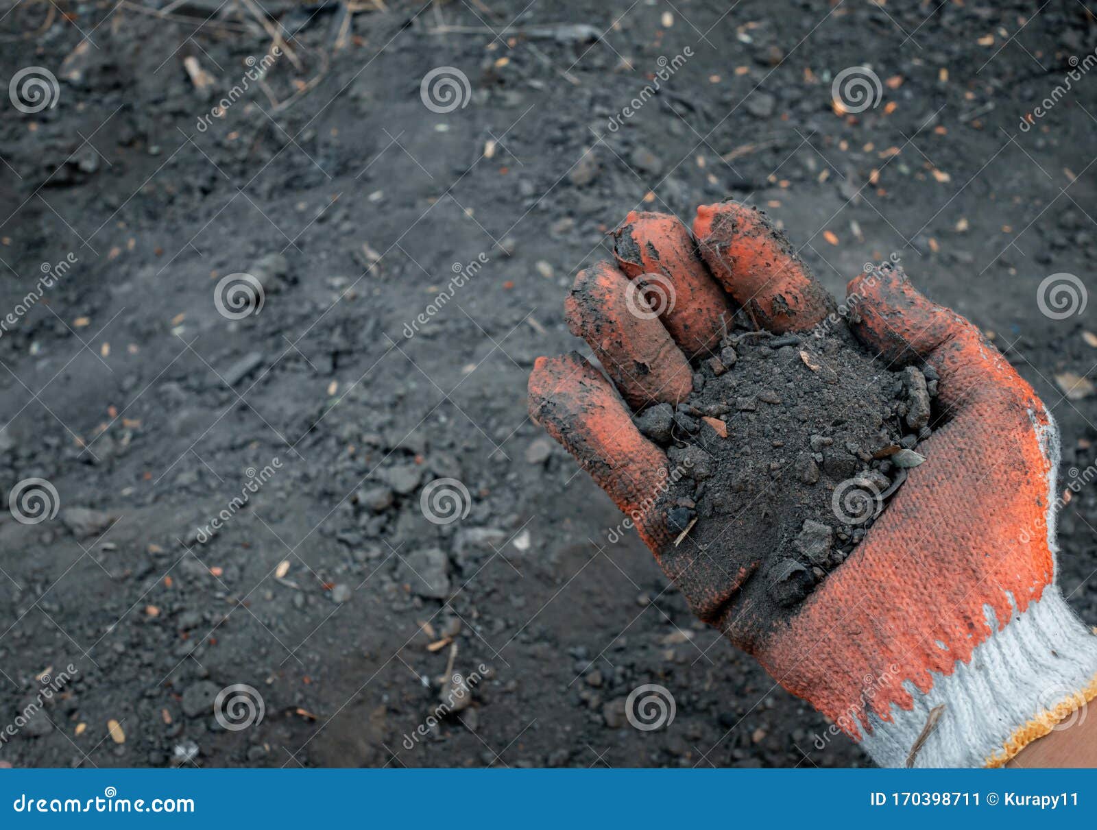 Testing Soil Sample on Hand Which Wears a Glove with Soil Ground ...