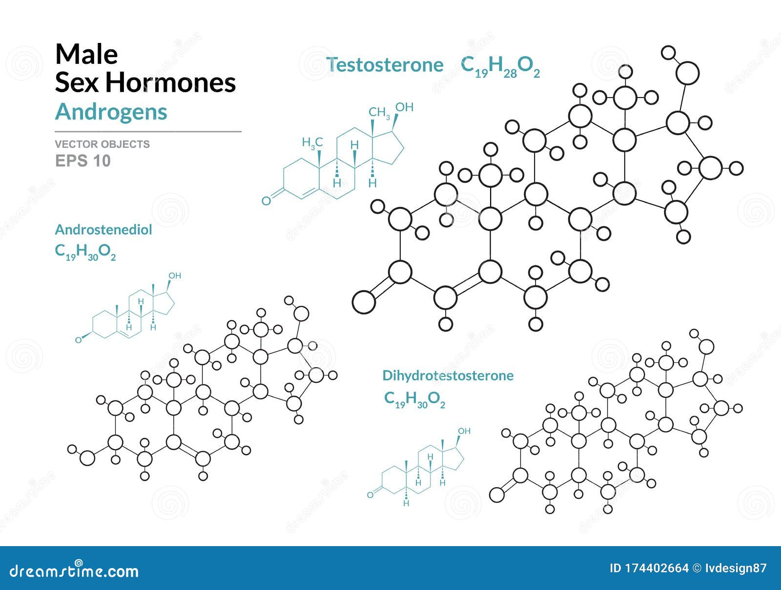 Testosterone Androstenediol Dihydrotestosterone Male Sex Hormones