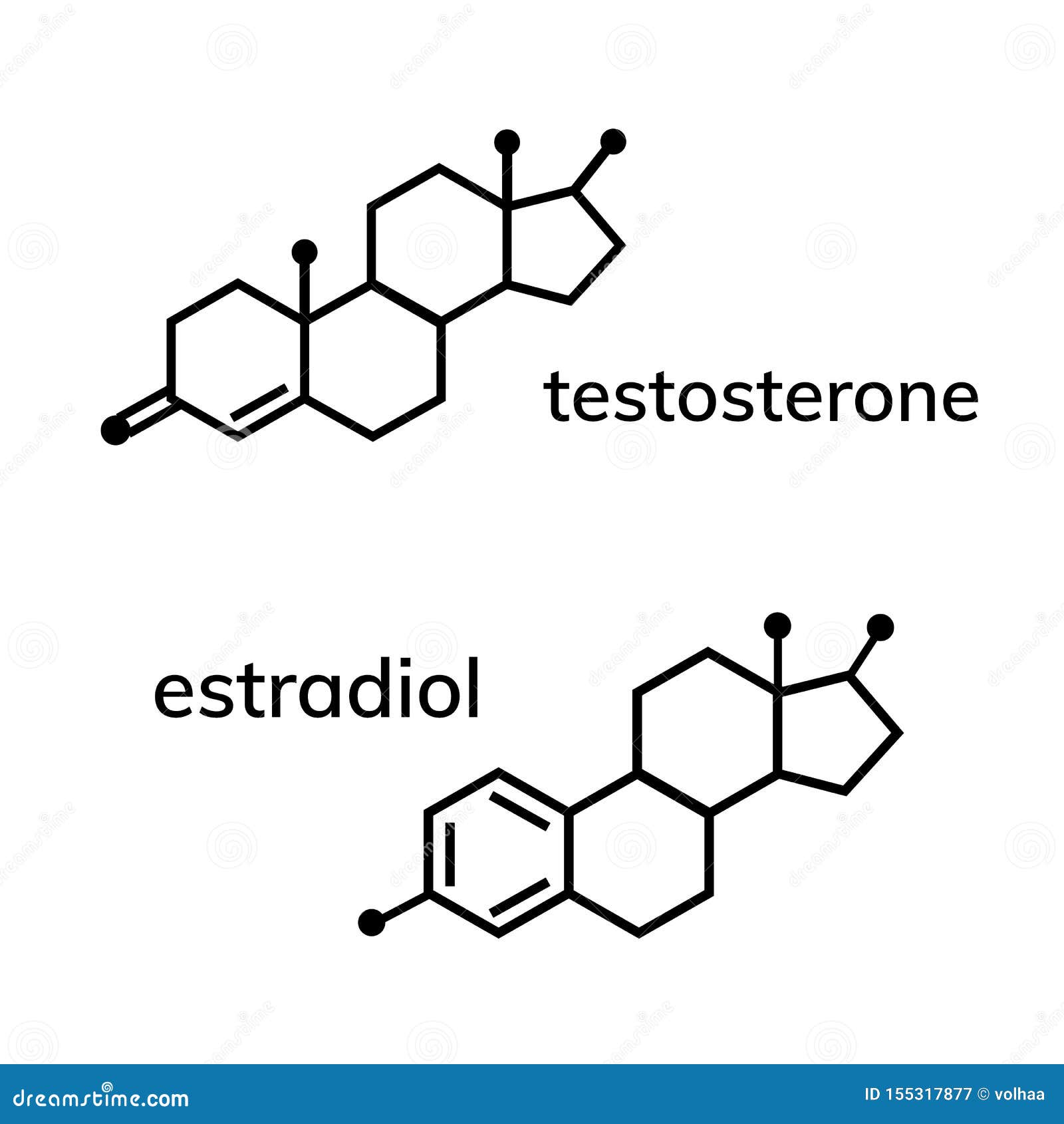 Testosterone and estradiol stock vector. Illustration of biochemistry ...