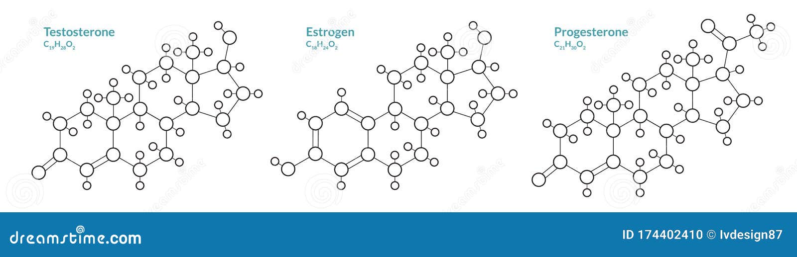 Testosterone Estrogen Progesterone Male And Female Sex Hormones