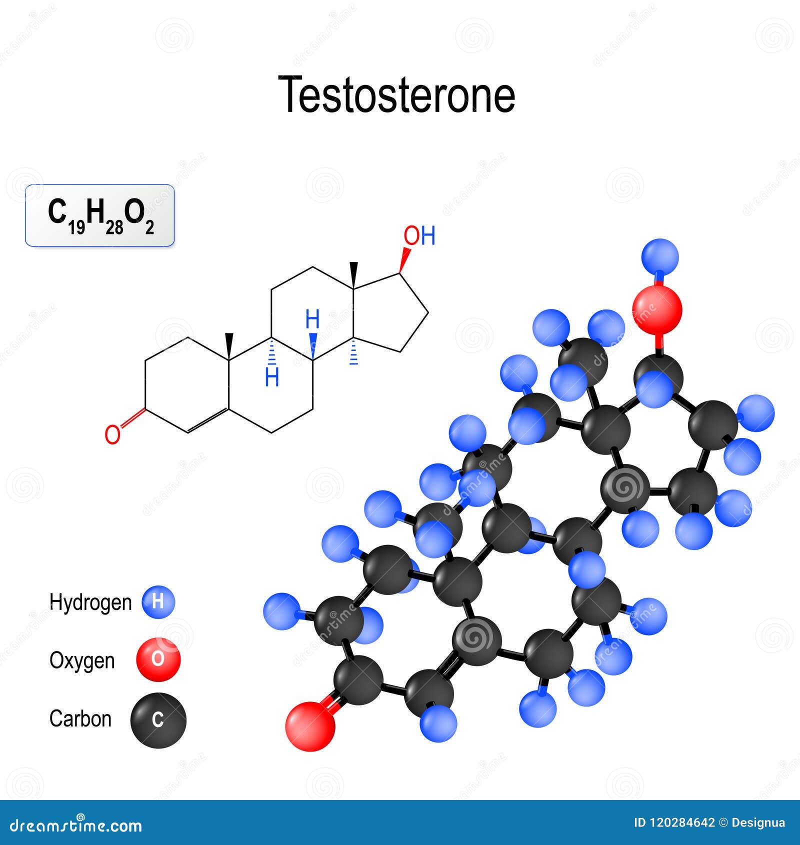 Testosterone Estrutura De Uma Molécula Ilustração do Vetor - Ilustração ...