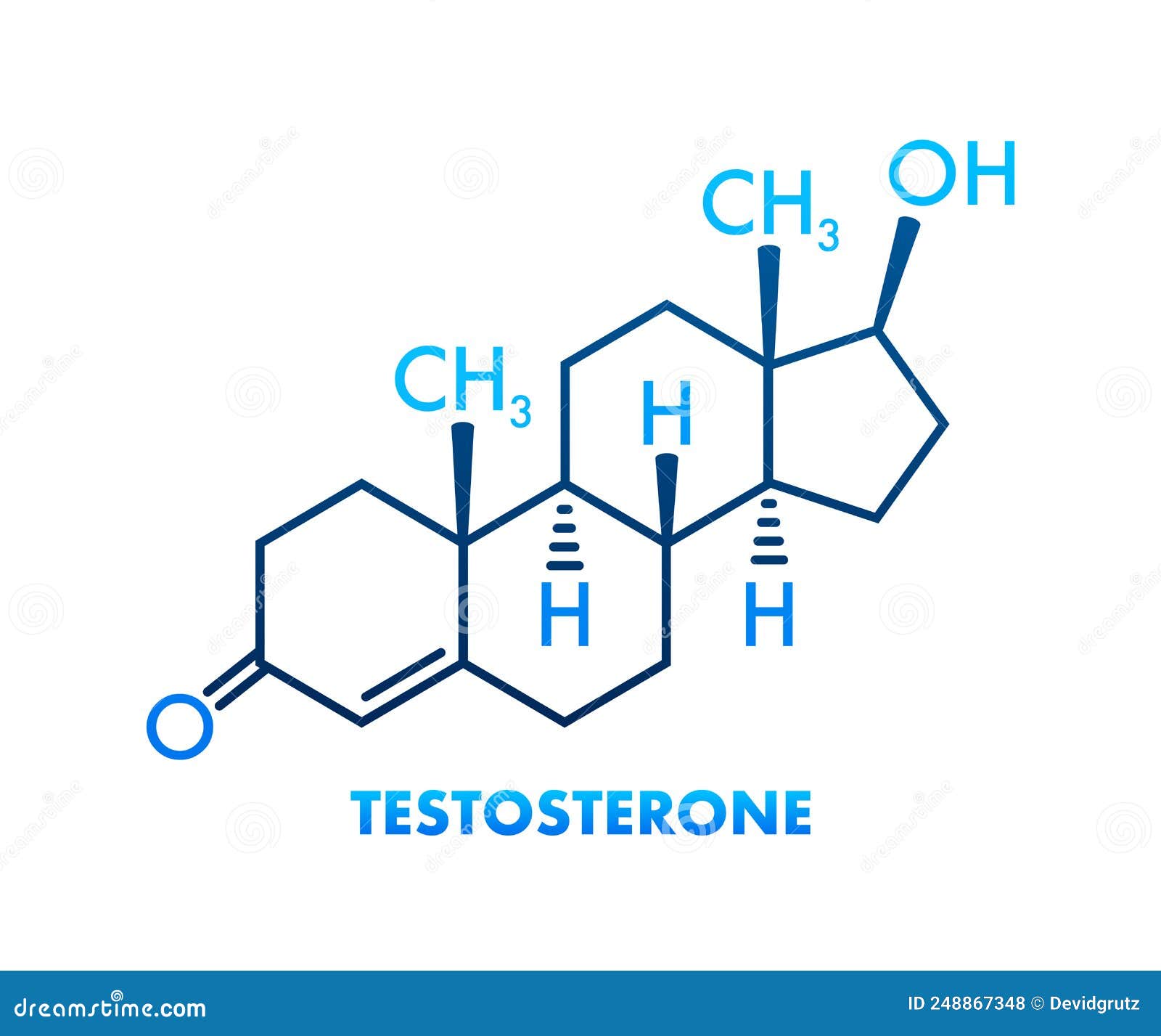 Testosterone Formula Vector Thin Line Icon Of Testosterone Molecular