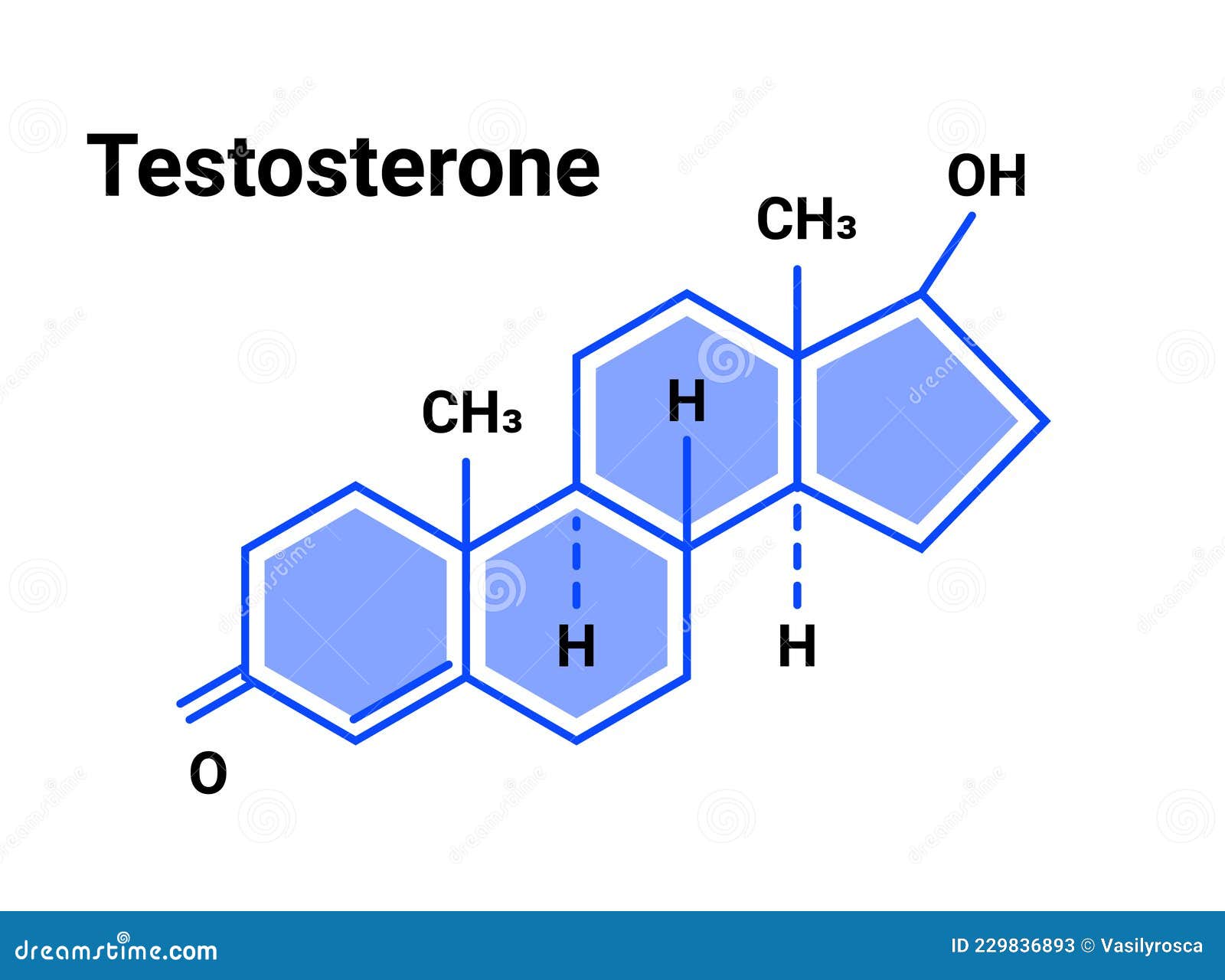 Testosterone Hormone Formula Icon Testosterone Molecule Structure Male