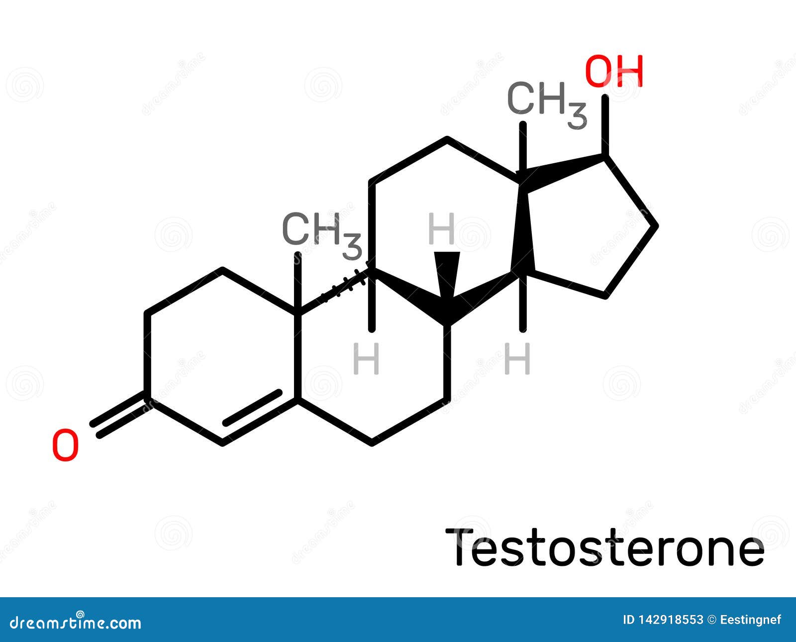 Testosterone Hormone Structural Formula Vector Illustration Stock