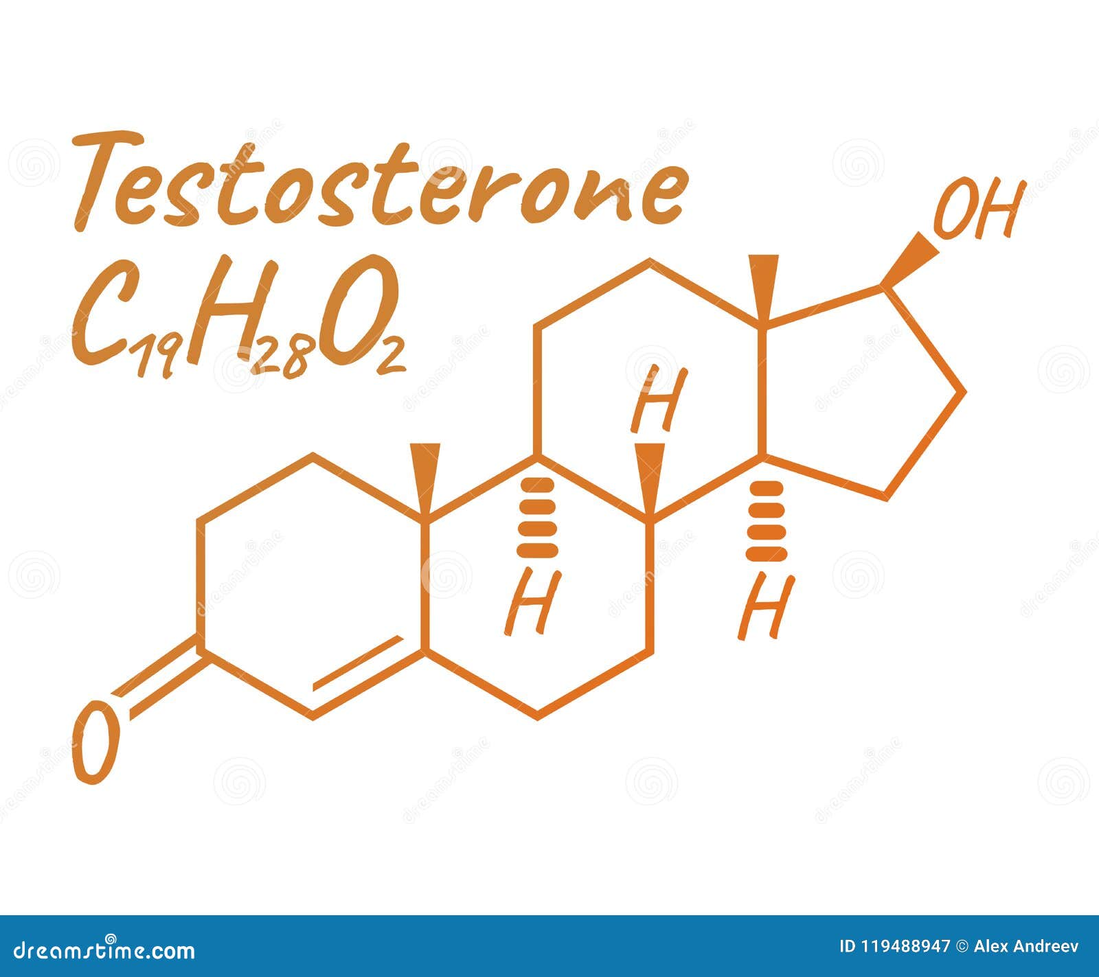 Testosterone Chemical Structure Vector Illustration Hand Drawn