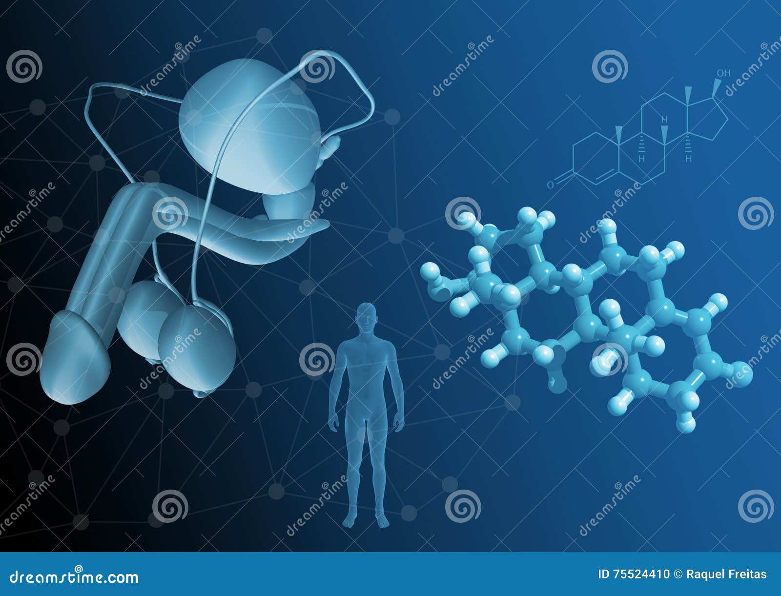 Testosterone stock illustration. Illustration of bladder - 75524410