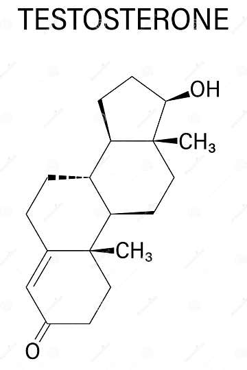 Testosterone Male Sex Hormone Androgen Molecule Skeletal Formula Stock