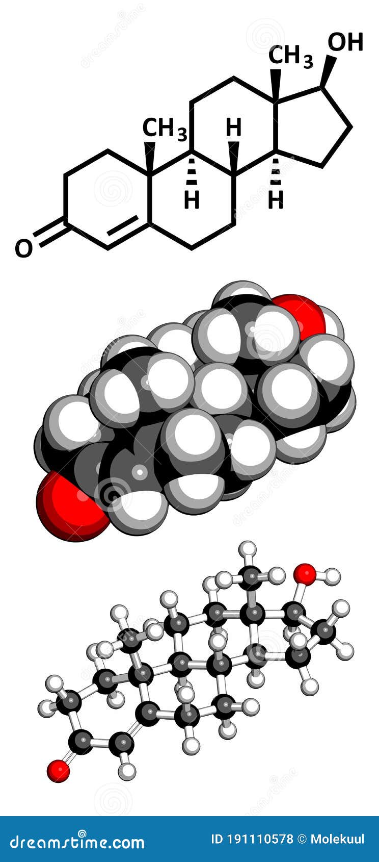 Testosterone Male Sex Hormone Androgen Molecule Atoms Are Represented