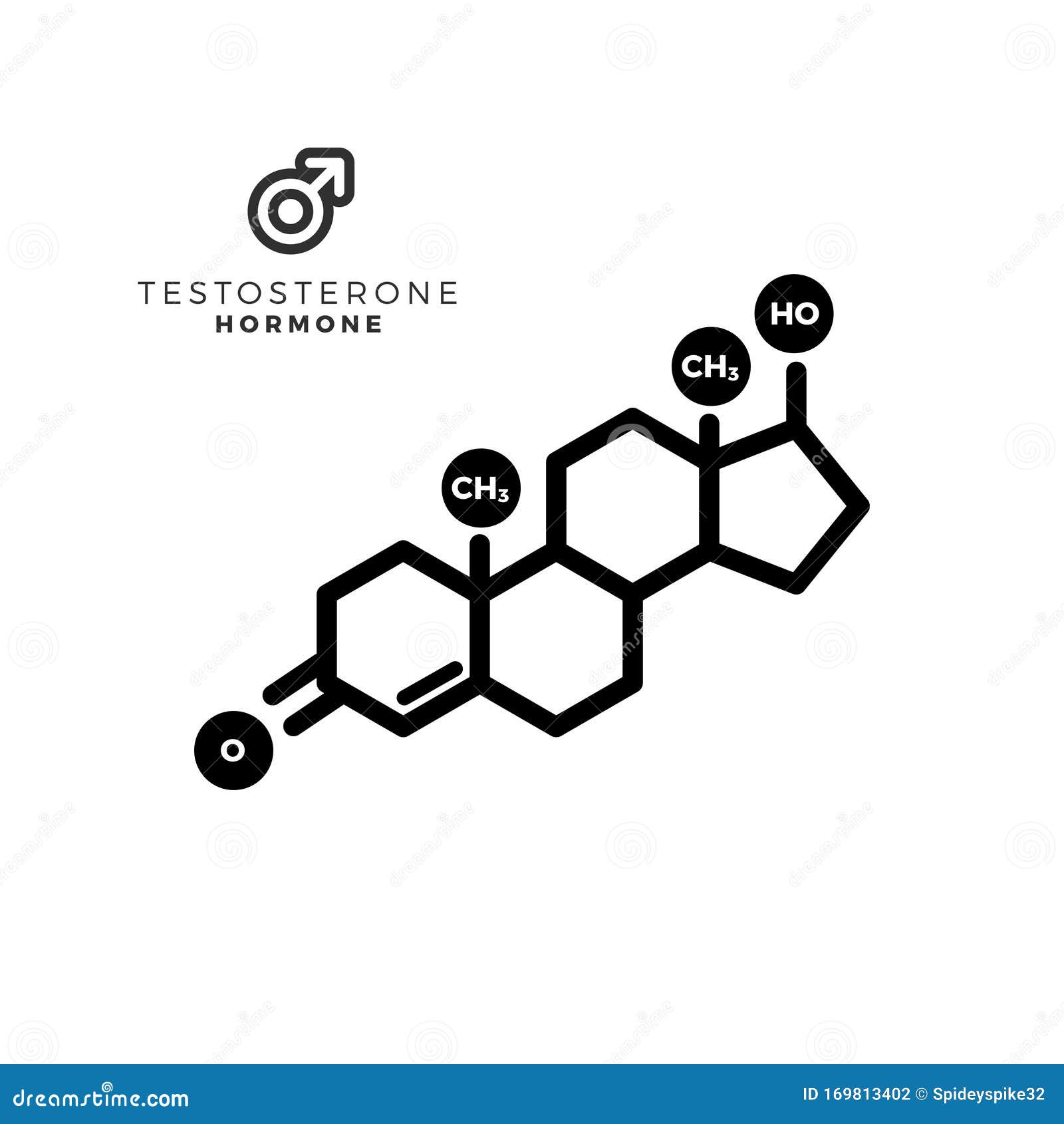 Testosterone Male Sex Hormone Androgen Molecule Atoms Are Represented