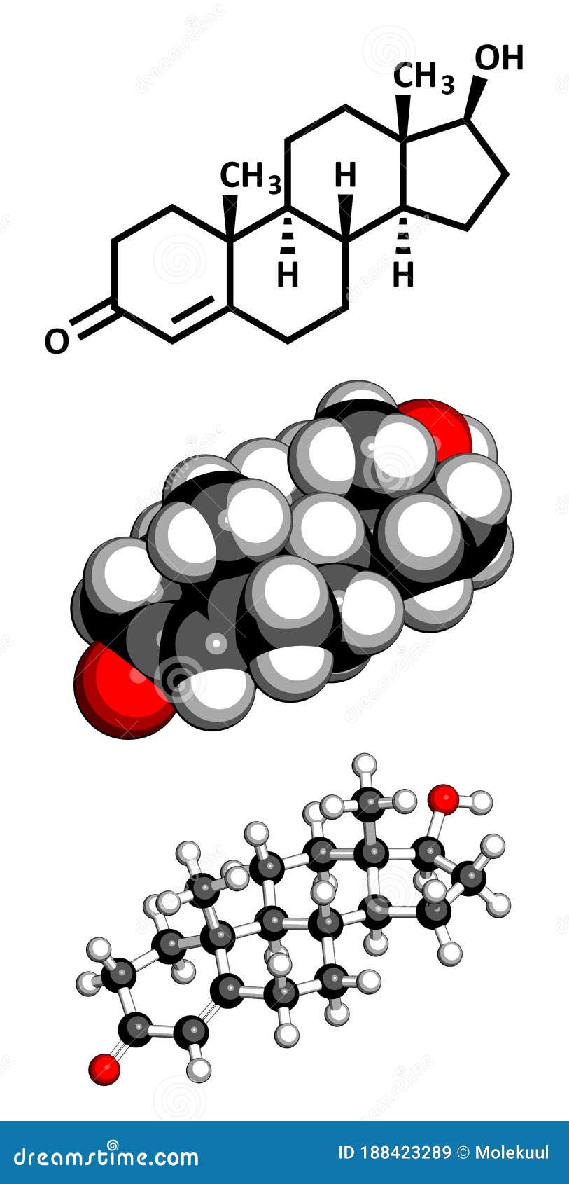 Testosterone Male Sex Hormone Molecule Stock Illustration