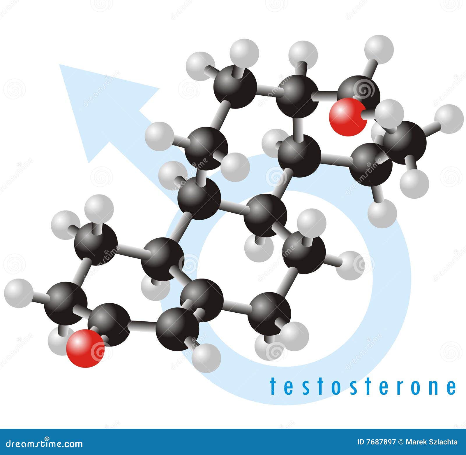 Testosterone Molecule 2 Stock Vector Illustration Of Testicles 7687897
