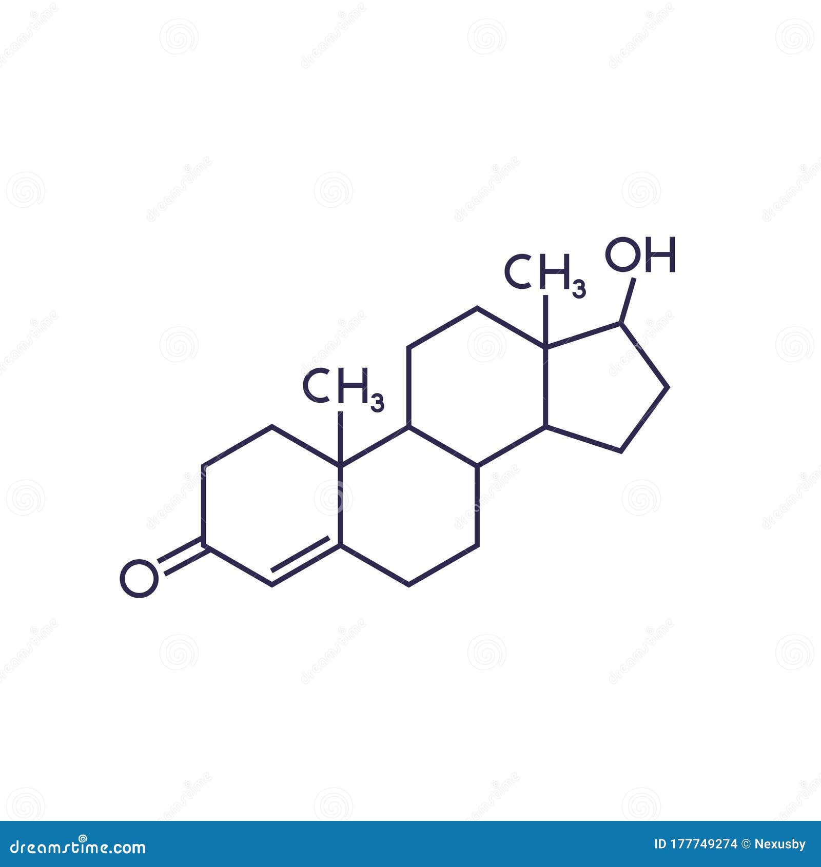 Testosterone Molecule on White, Vector Stock Vector - Illustration of ...