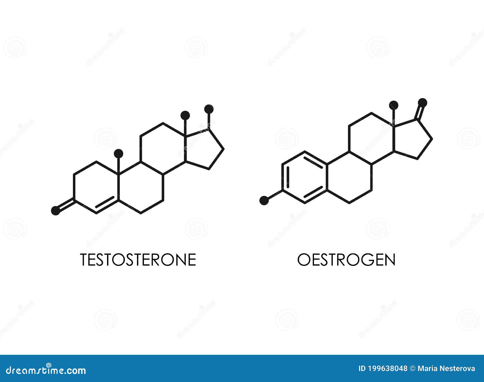 Testosterone And Oestrogen Molecula Structure Colorful Line Icon