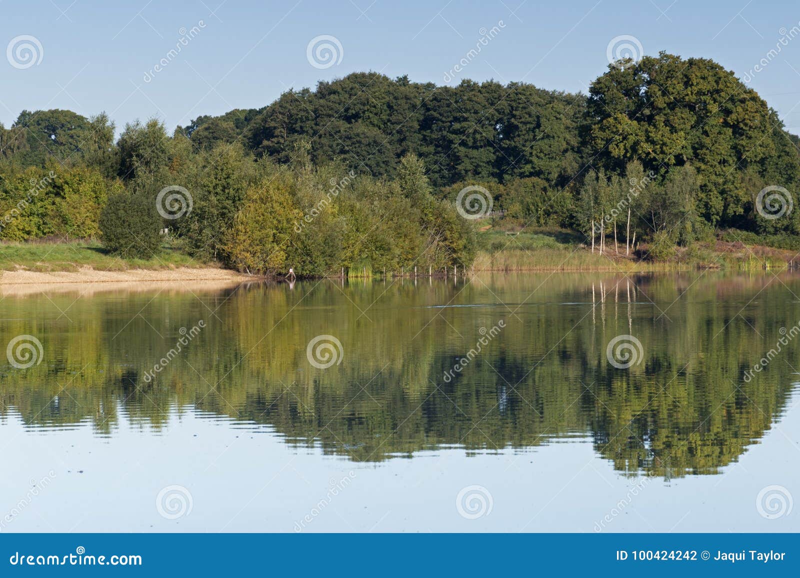 Testwood Lakes, Southampton, UK Stock Photo - Image of lake, reflection ...