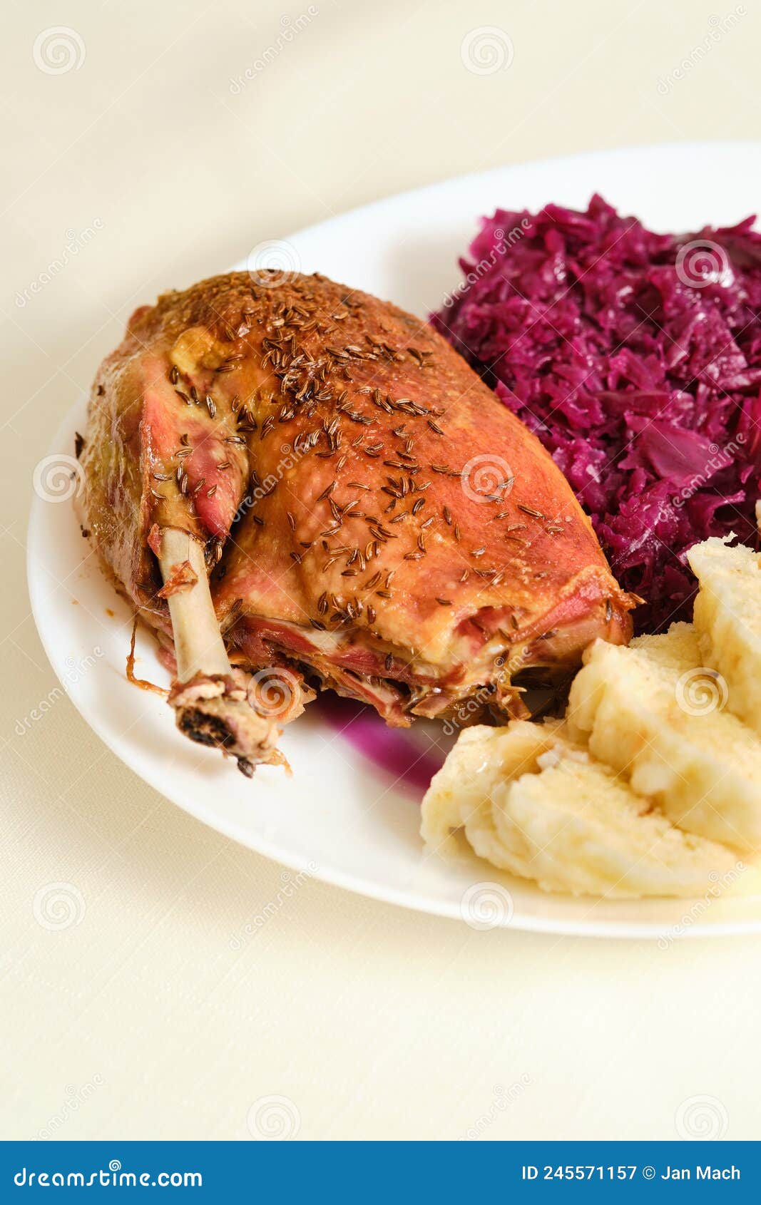 Czech Roasted Duck with Dumpling and Cabbage Stock Image - Image of ...
