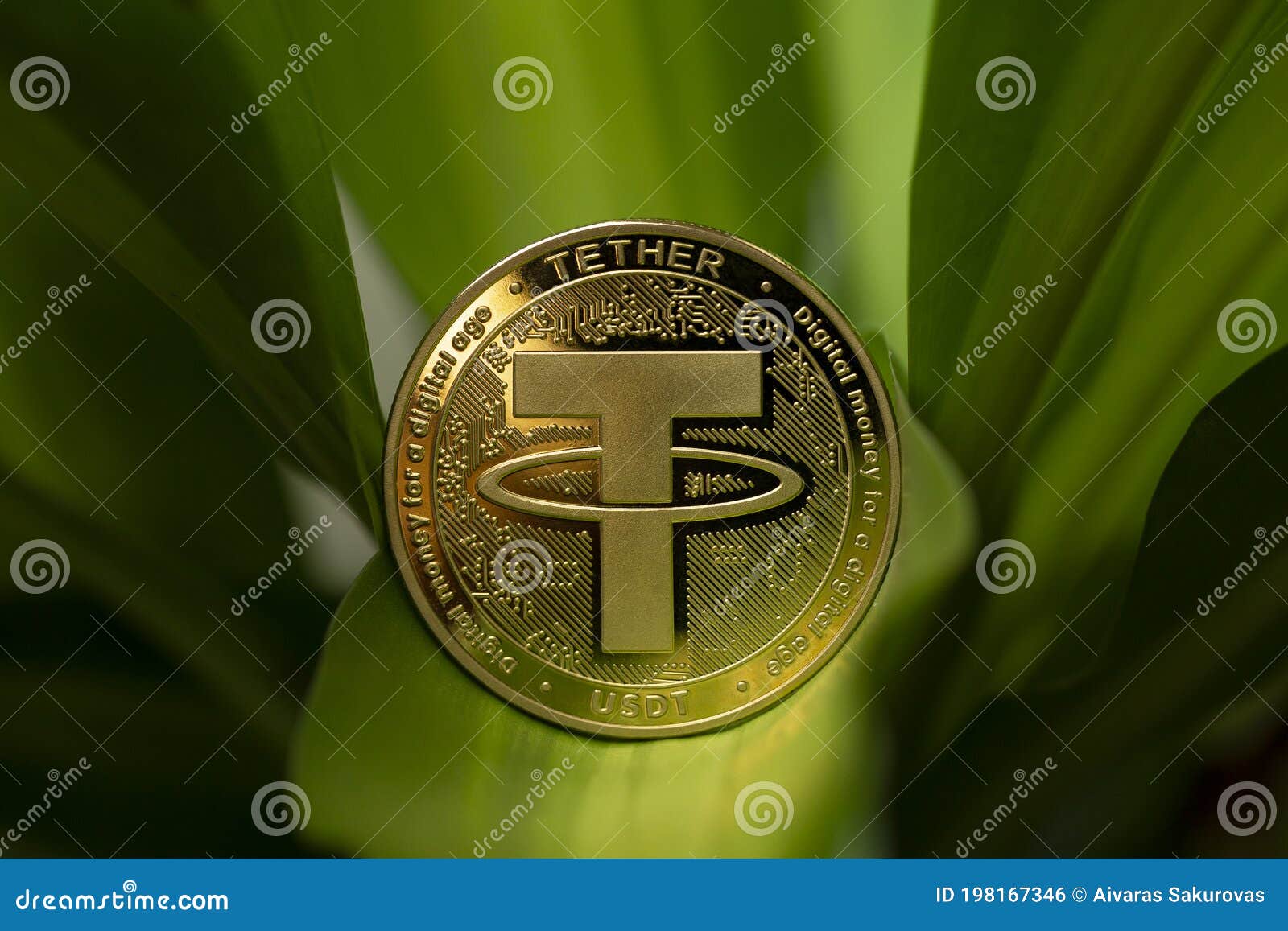 TETHER USDT Cryptocurrency Physical Coin Placed between Plant Leaves ...
