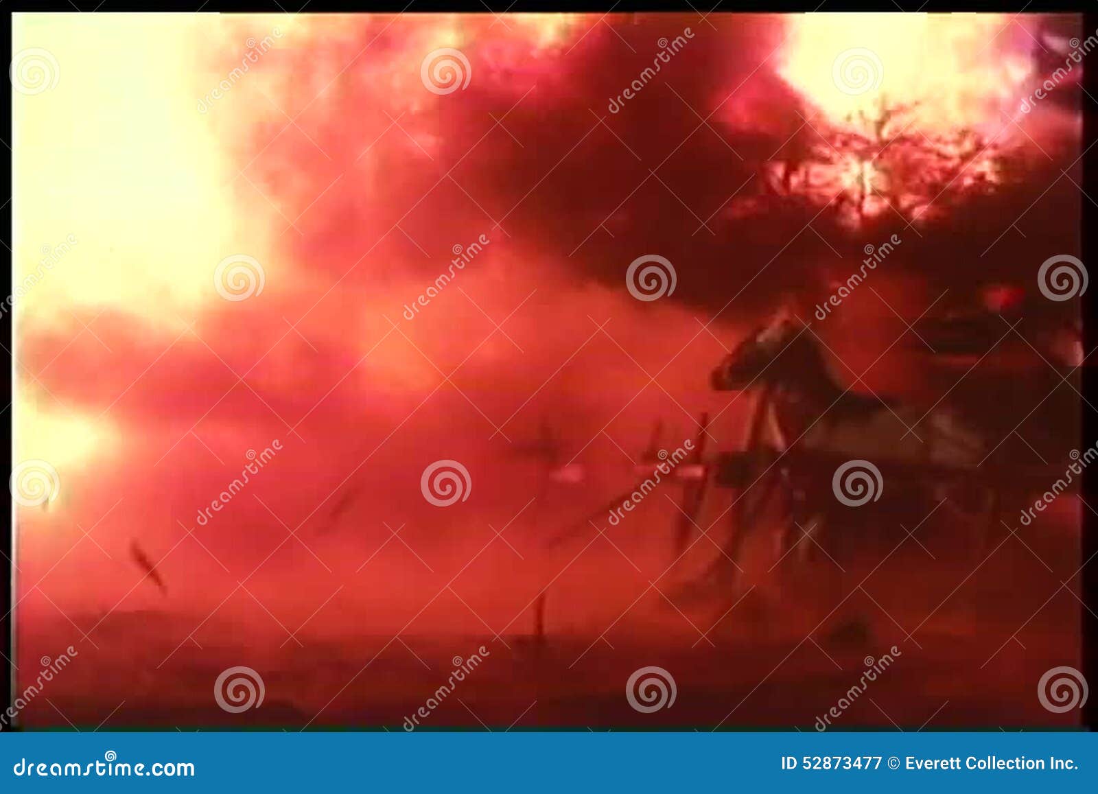 Tethered Horses Frightened by Massive Explosion Stock Video - Video of ...