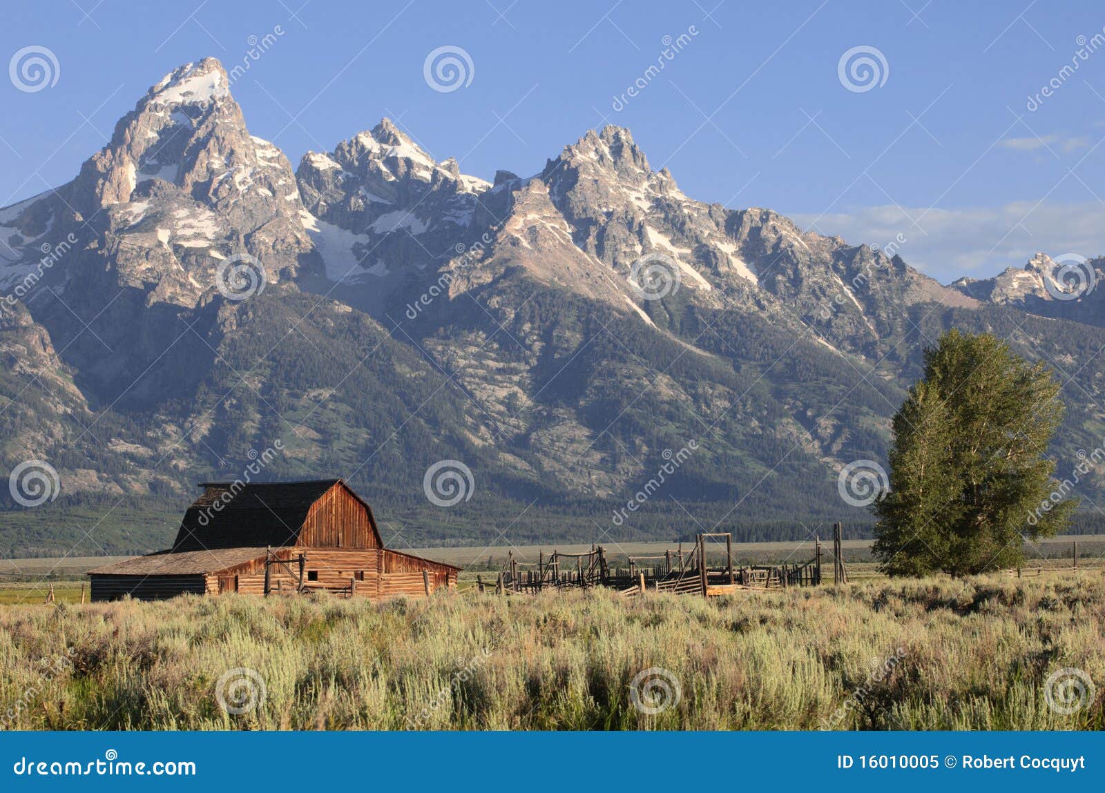 Teton Barn stock image. Image of beautiful, nature, pasture - 16010005
