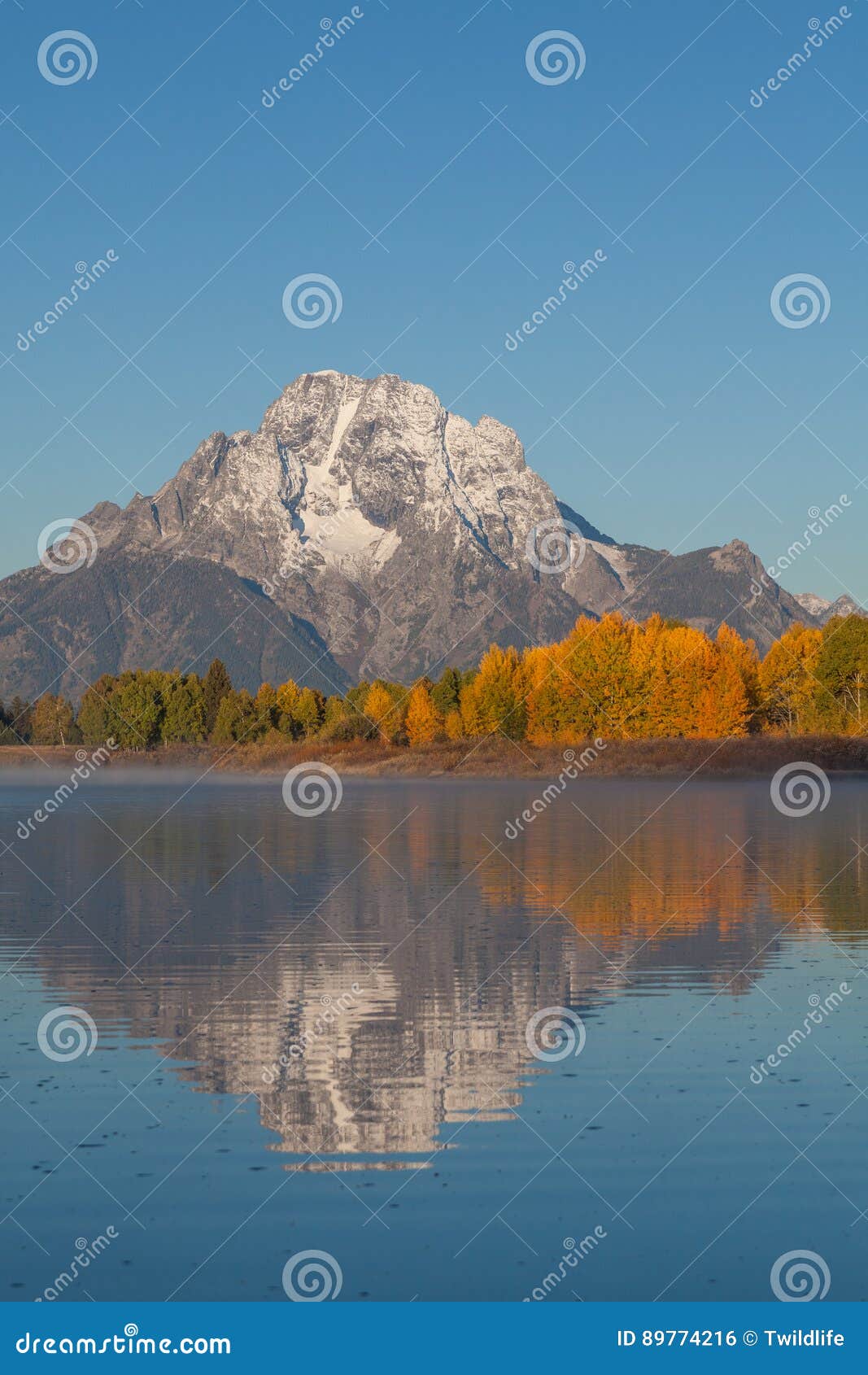 Teton Fall Reflections stock photo. Image of tetons, nature - 89774216
