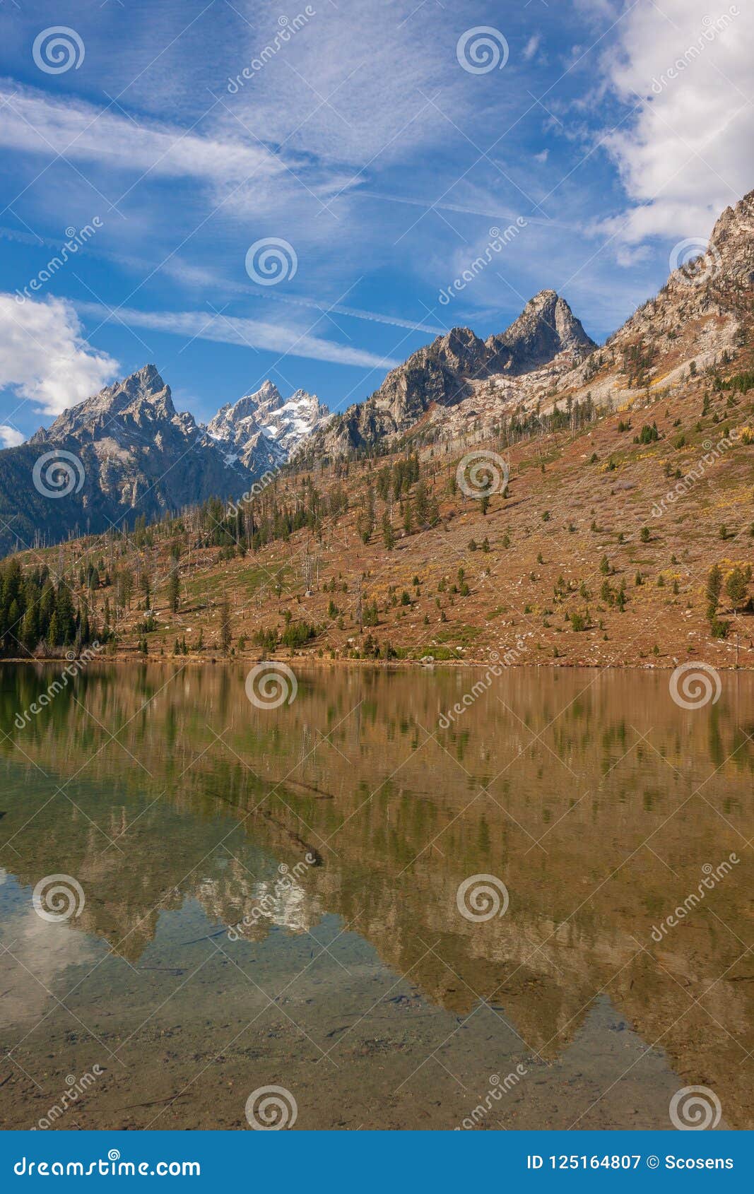 Teton Reflection in String Lake Stock Image - Image of reflection ...