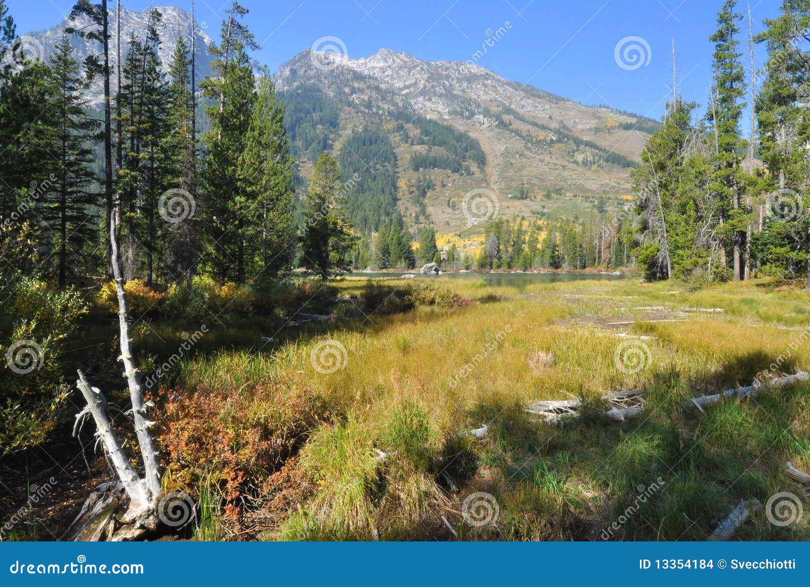 The Tetons in Autumn stock photo. Image of national, grand - 13354184