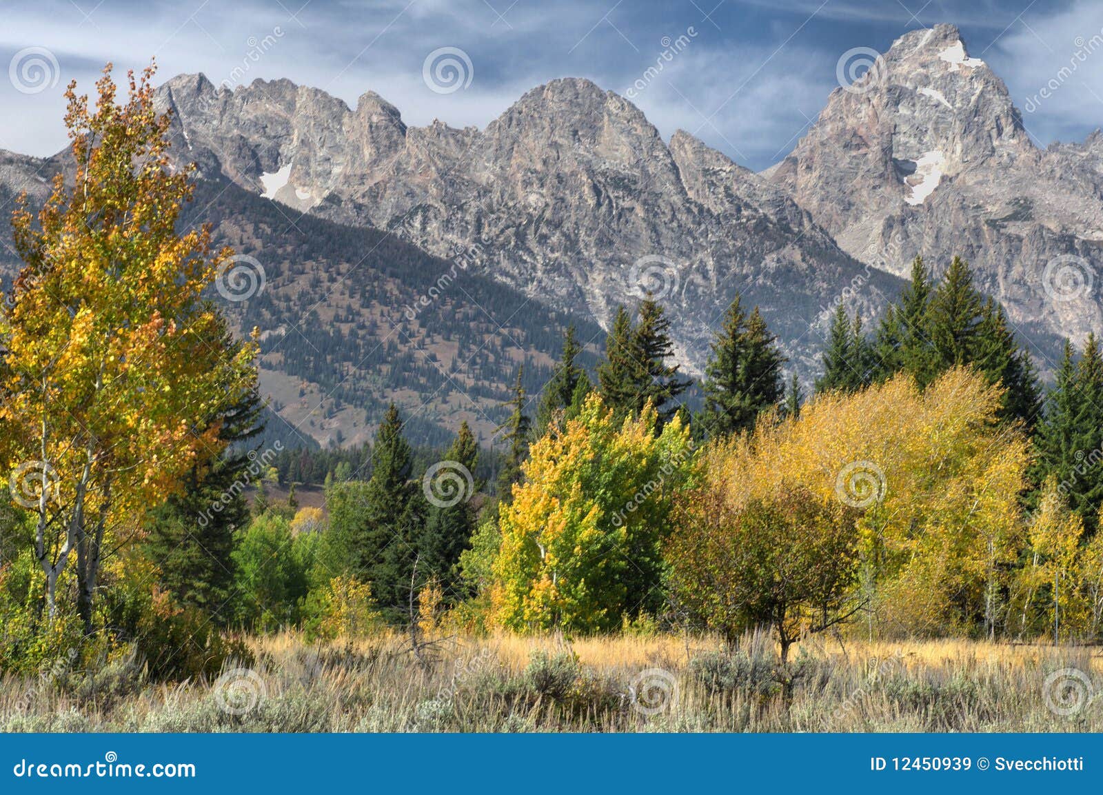 Tetons in the Fall stock image. Image of teton, cottonwood - 12450939