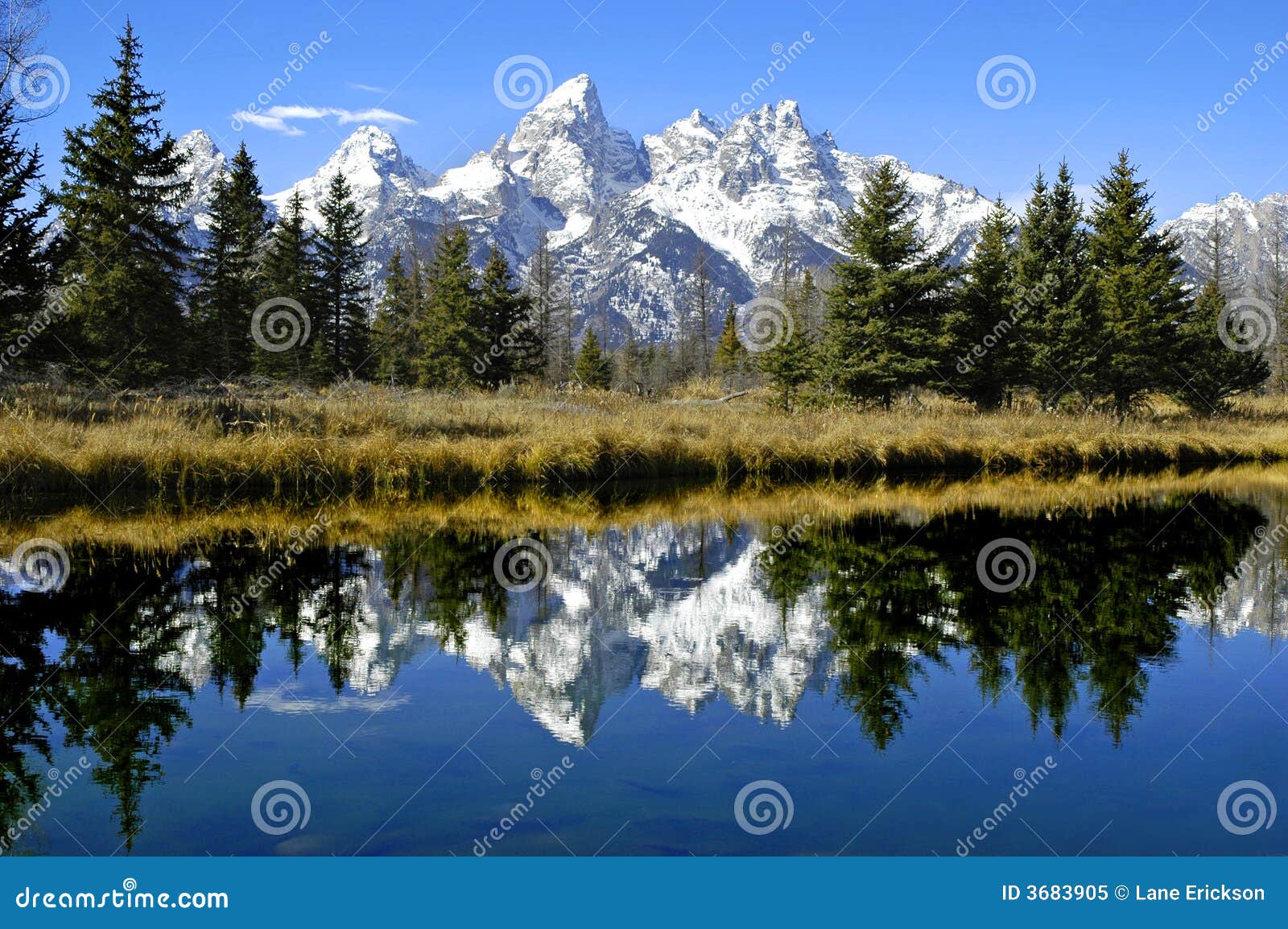 Tetons Reflection in River stock image. Image of water - 3683905