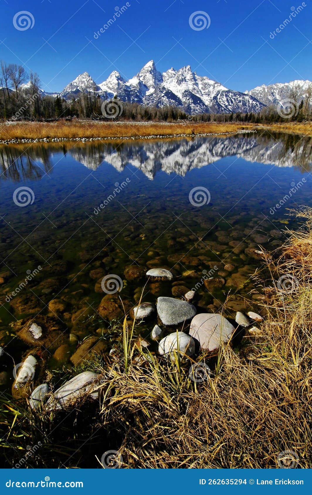 Tetons Teton Mountains in Winter Snow and Trees with Reflection in ...