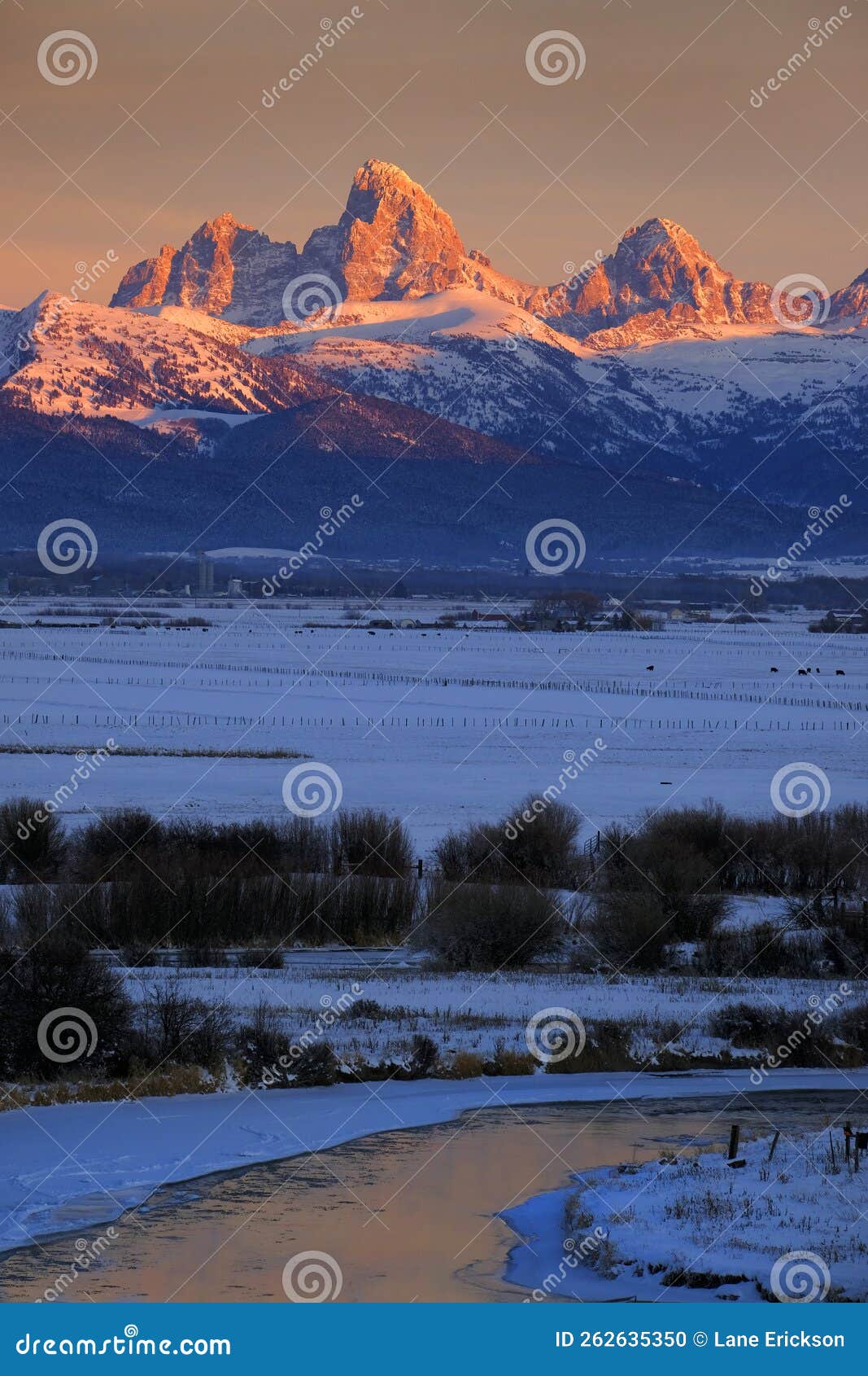 Tetons Teton Mountains in Winter Snow and Trees with Reflection in ...