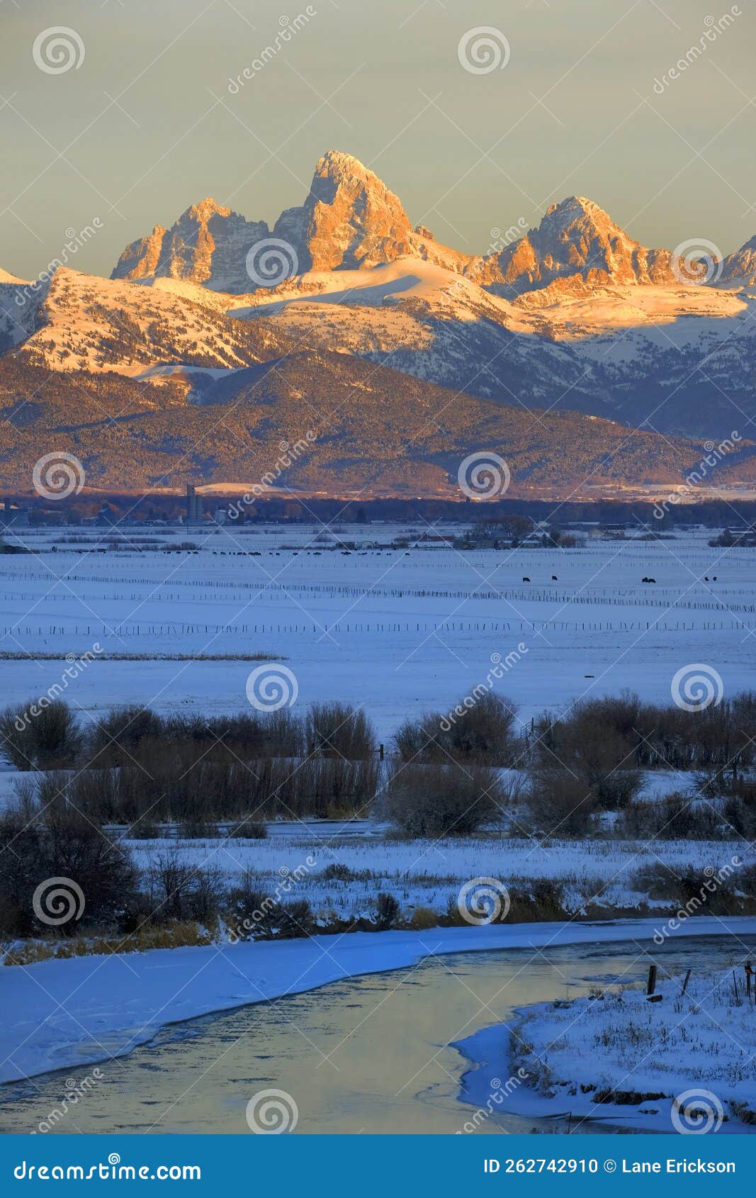 Tetons Teton Mountains in Winter Snow and Trees with Reflection in ...