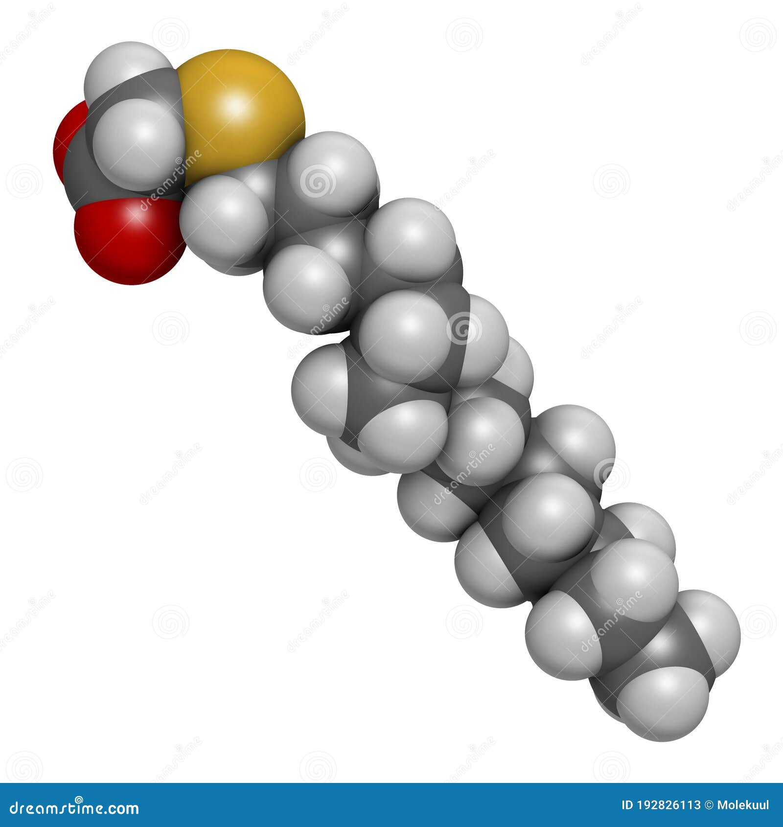 Tetradecylthioacetic Acid Molecule. 3D Rendering Stock Image ...