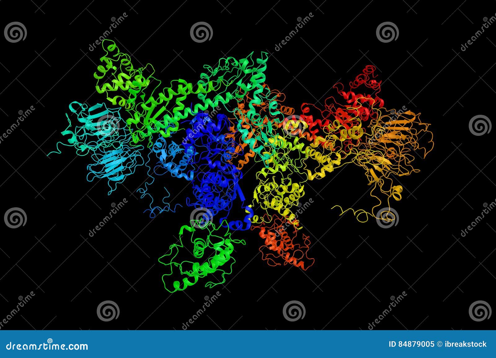 Tetragonal Structure of Arp2/3 Complex, a Seven-subunit Protein Stock Illustration ...