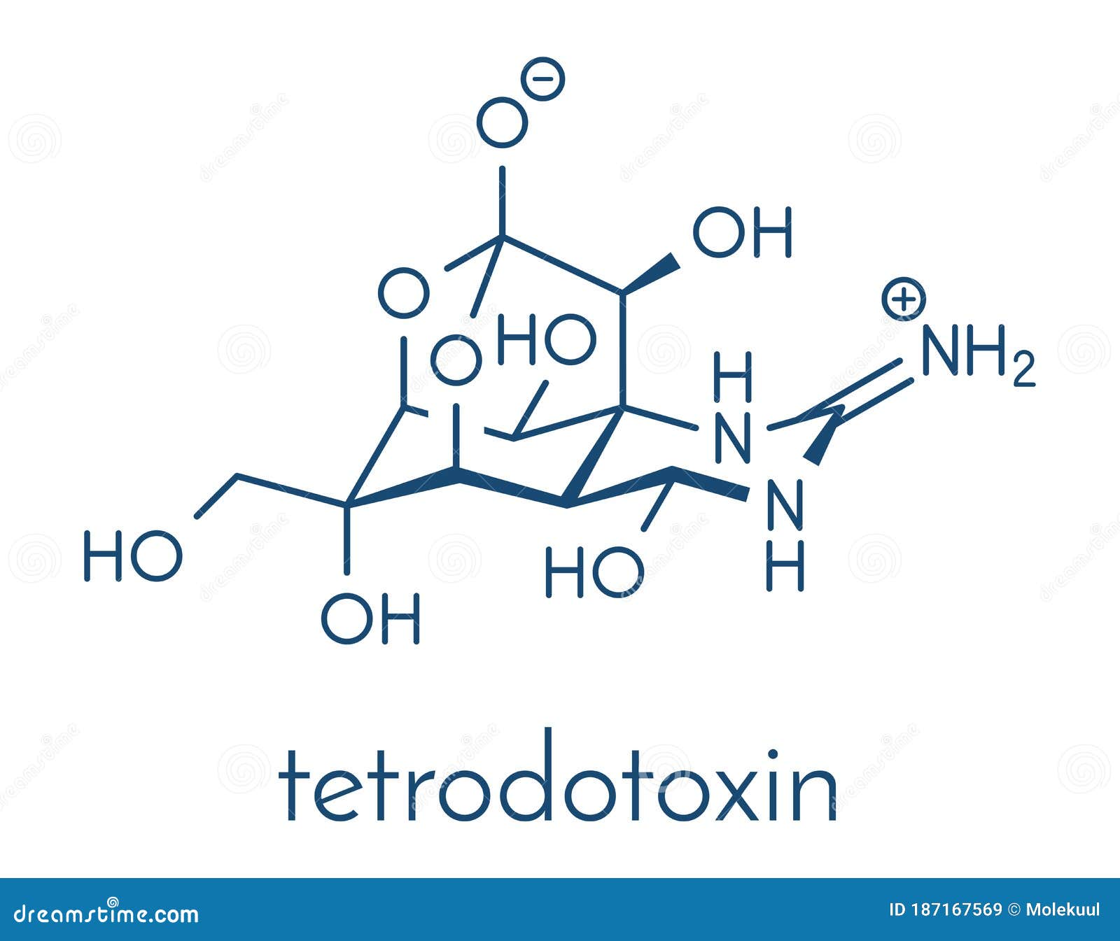 Tetrodotoxin TTX Pufferfish Neurotoxin Molecule. Skeletal Formula ...