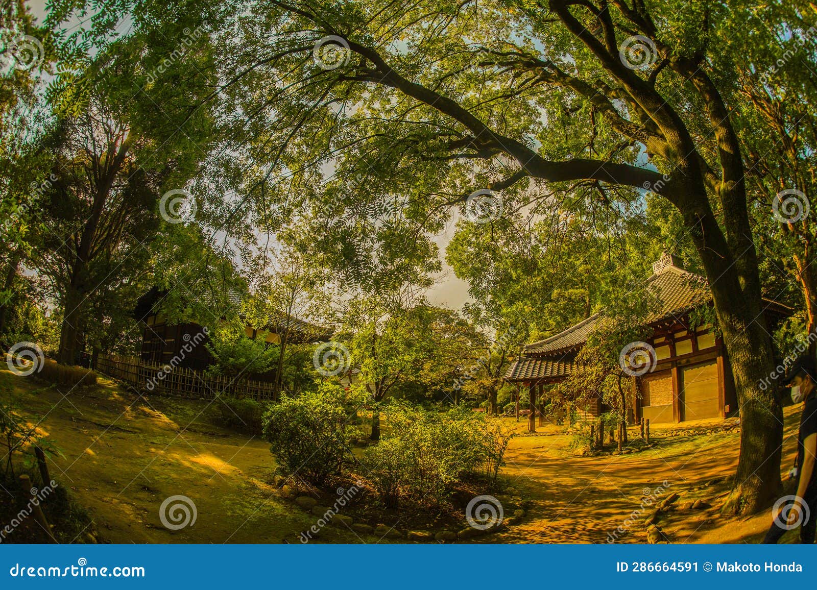 Tetsugaku -do (Nakano -ku, Tokyo) Stock Image - Image of world ...