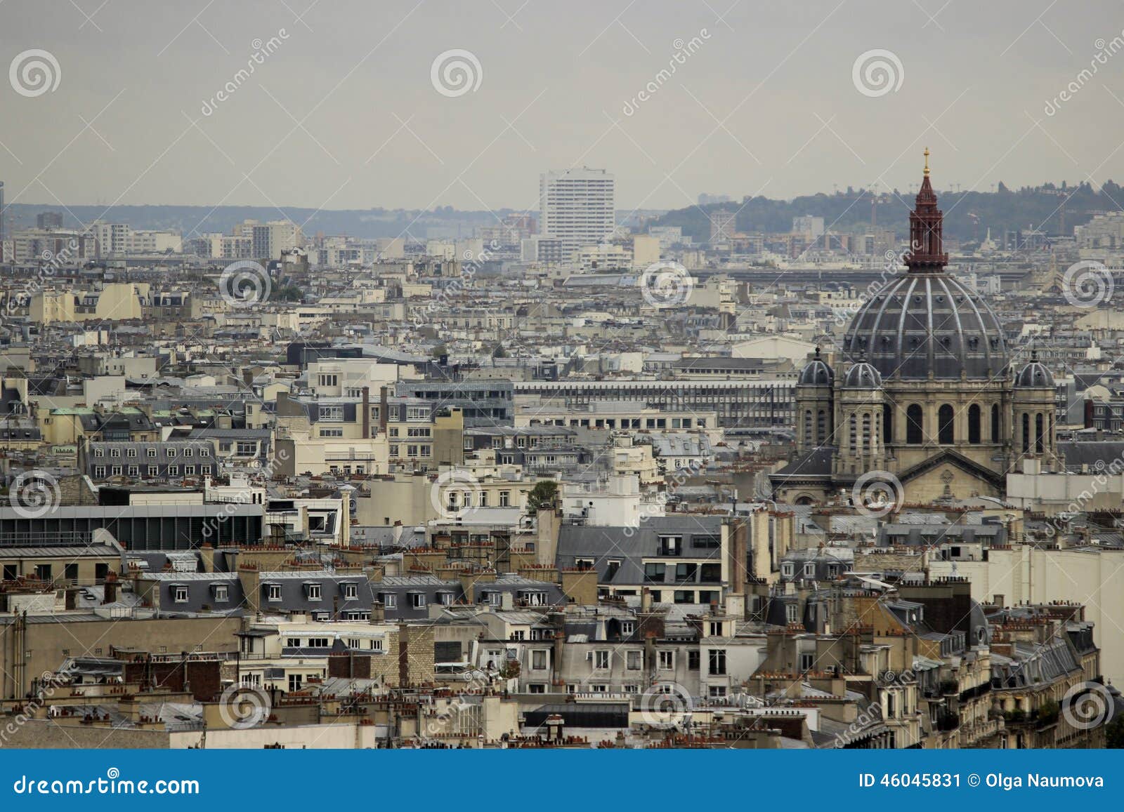 Tetti parigini immagine stock. Immagine di grigio, panoramico - 46045831