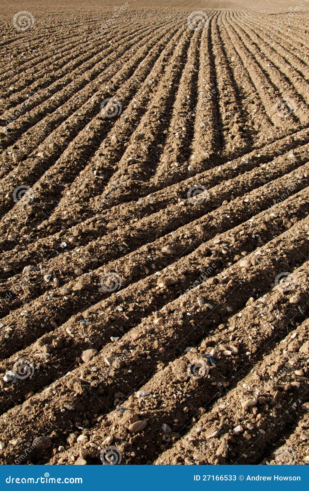 Ploughed field patterns stock image. Image of countryside - 27166533