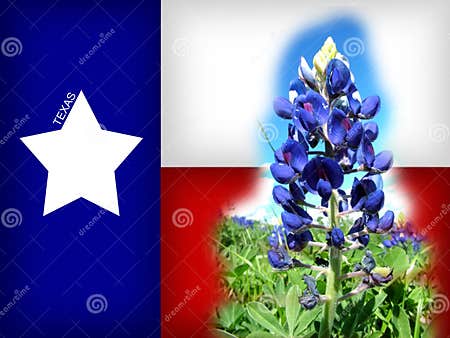 TEXAS stock illustration. Illustration of stateflower, flower - 90244