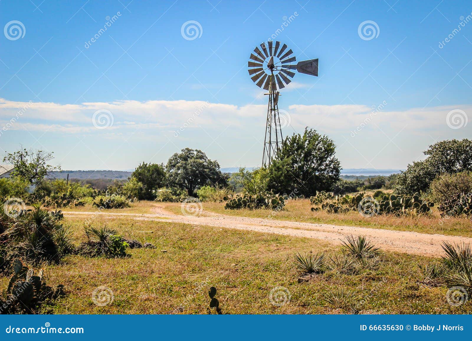 Texas Hill Country Windmill Fotografia Stock - Immagine di yucche ...