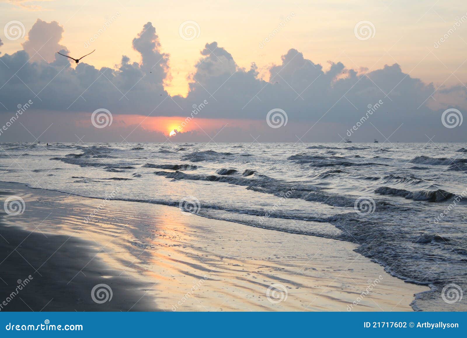 Texas Ocean stock photo. Image of sand, waves, surf, sunrise - 21717602
