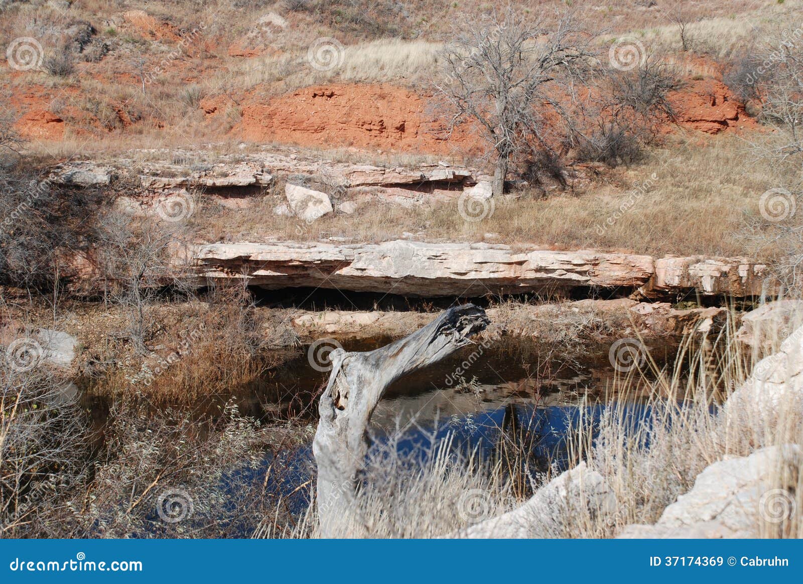 Texas Panhandle pond stock image. Image of pond, dirt - 37174369