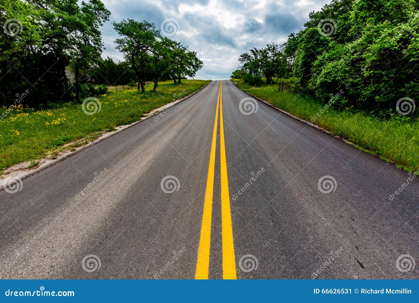 Texas Road with Wildflowers on Side Stock Image - Image of field ...