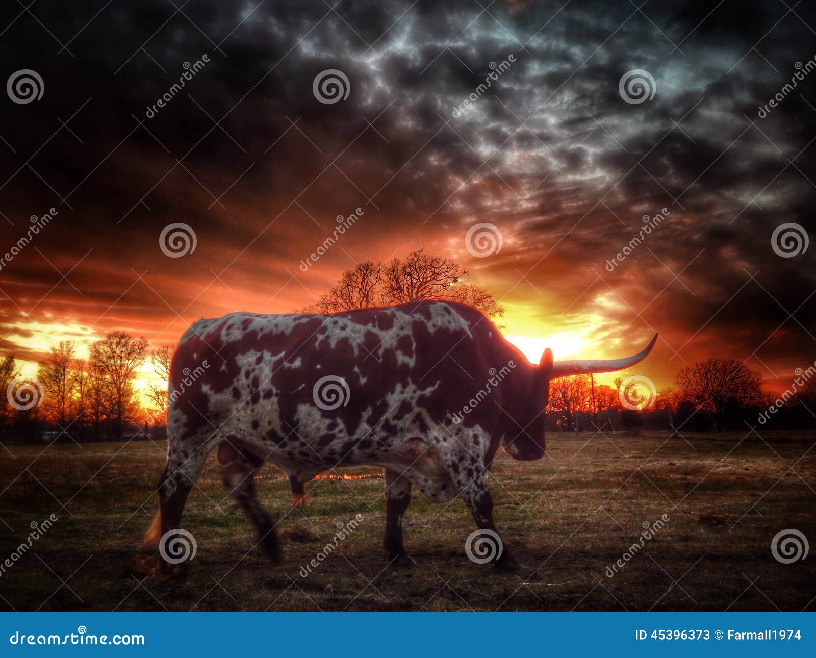 Texas Strong stock image. Image of stunning, sunset, strong - 45396373