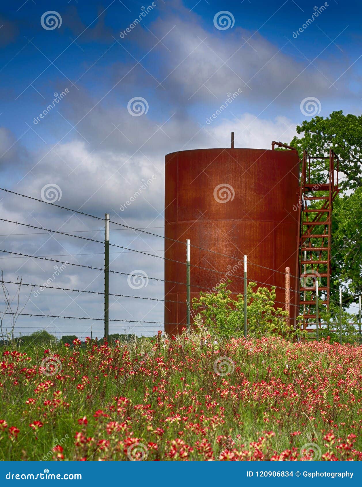 Tutal Stock Photos - Free & Royalty-Free Stock Photos from Dreamstime