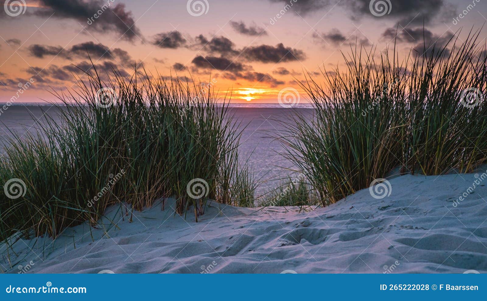 Texel Beach during Sunset Netherlands Dutch Island Texel Stock Photo ...