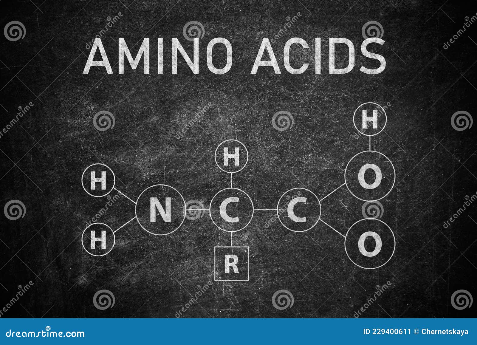 Text AMINO ACIDS And Chemical Formula Written On Blackboard Stock Image ...