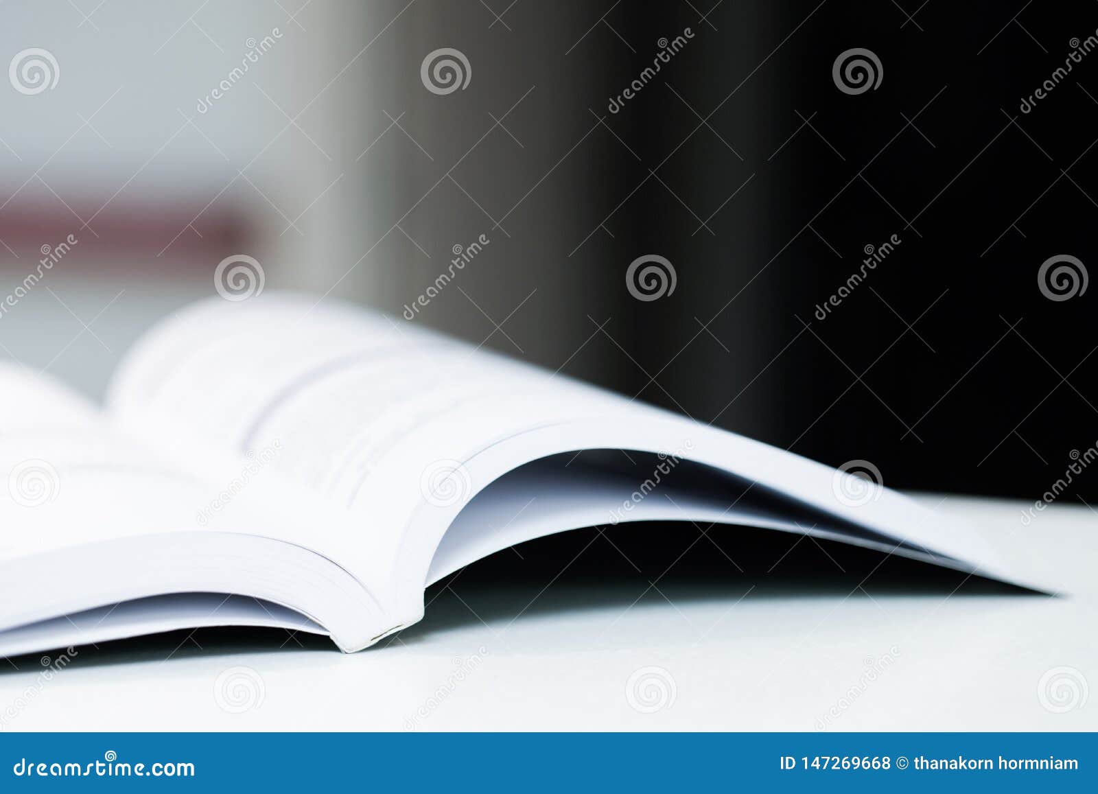 Text book stock photo. Image of paper, literature, open - 147269668