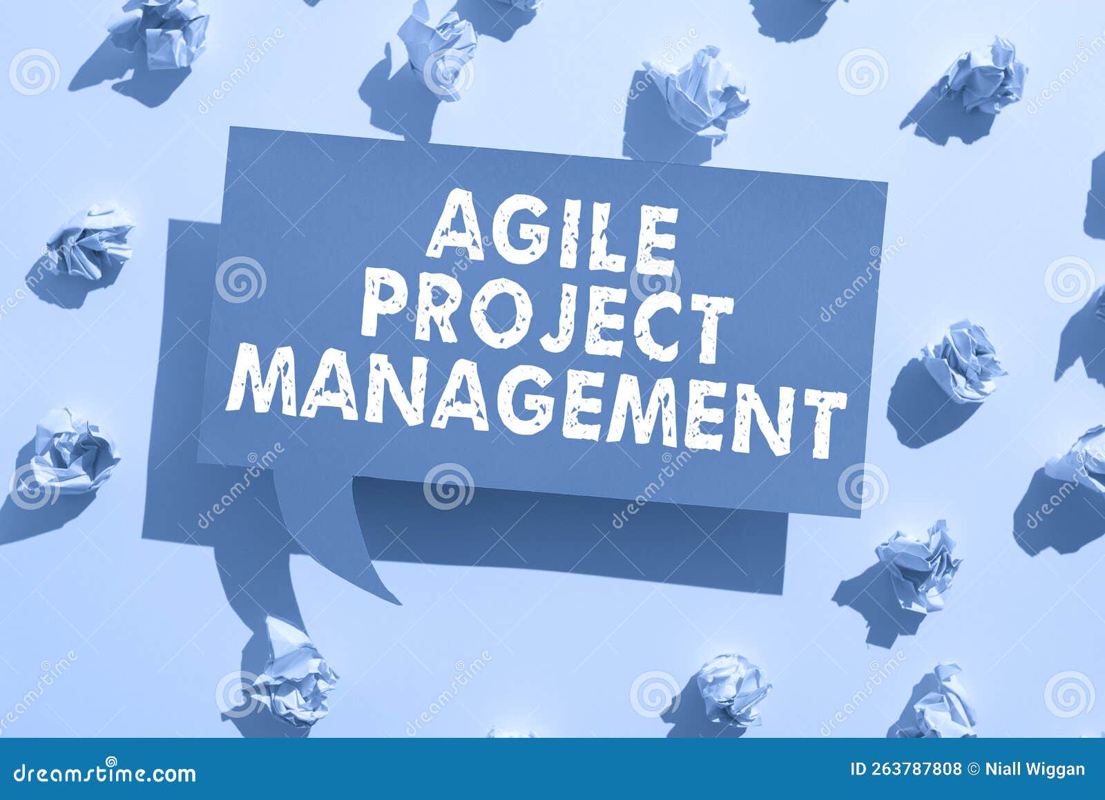 Text Caption Presenting Agile Project Management. Conceptual Photo ... Text Caption Presenting Agile Project Management. Conceptual Photo ...