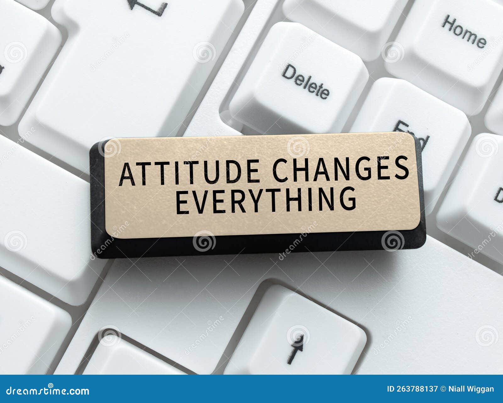 Text Caption Presenting Attitude Changes Everything. Internet Concept ... Text Caption Presenting Attitude Changes Everything. Internet Concept ...